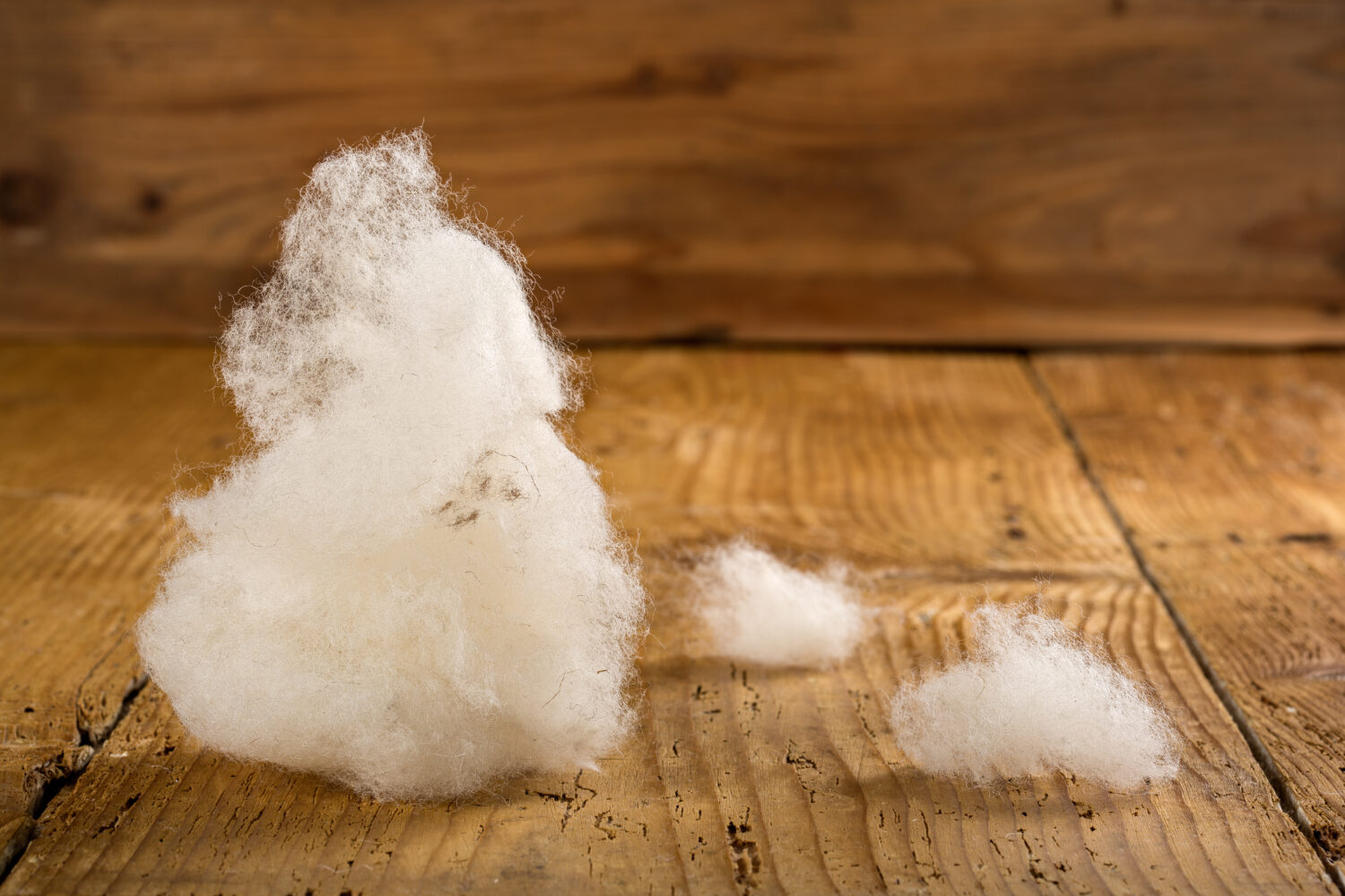 Sun Wool Futon - Futon d’or - Natural mattresses